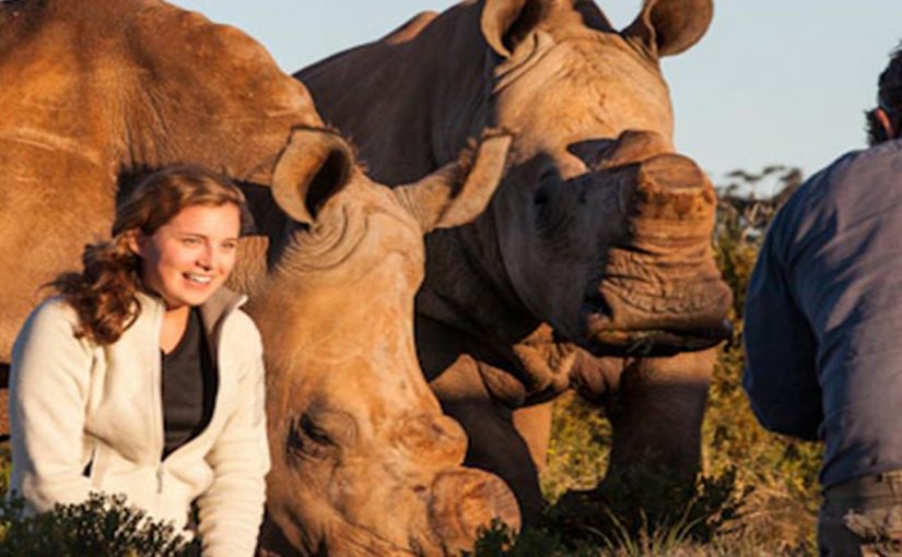 Wildlife Filmmaking Archives Ryan Johnson