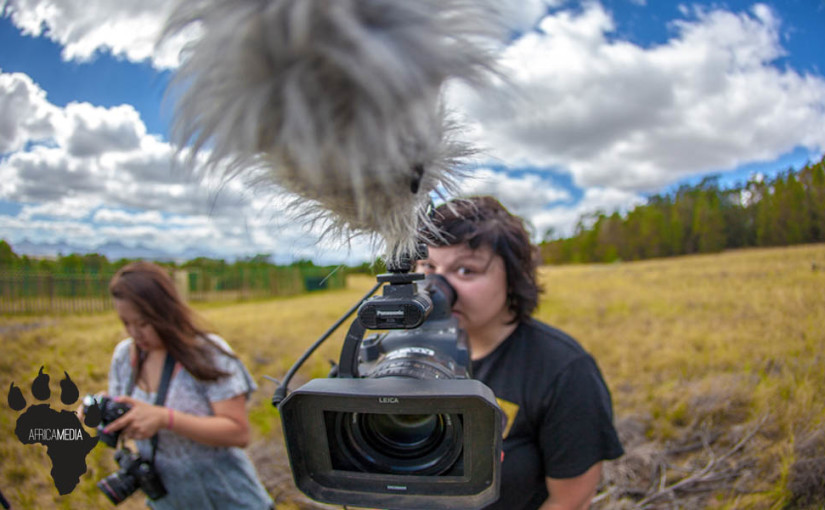 Wildlife Filmmaking Archives - Ryan Johnson