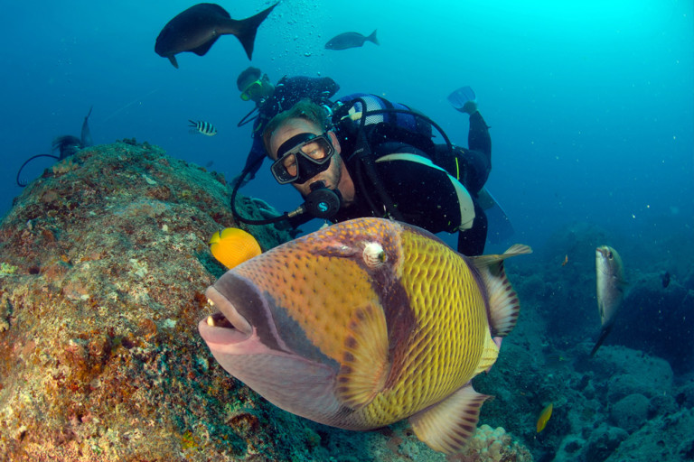 Shark Researcher & Marine Explorer Ryan Johnson