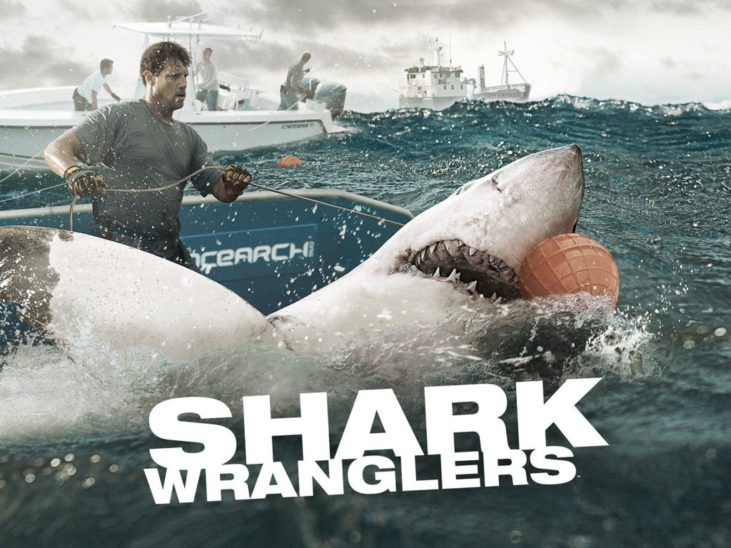 Shark Documentaries - Shark Week, National geographic